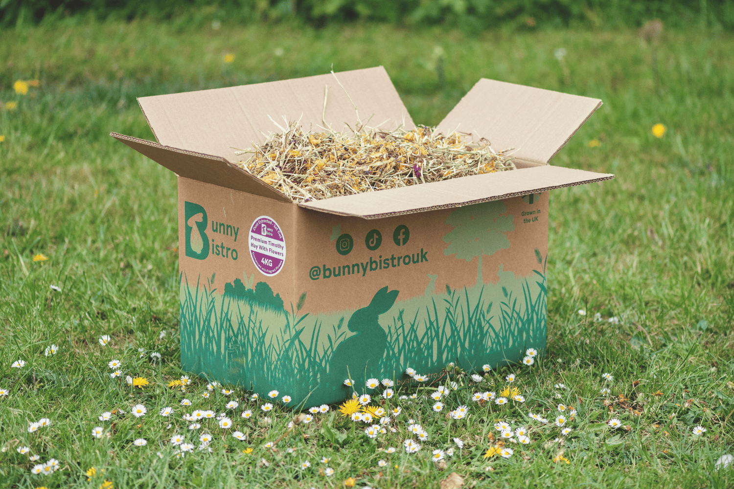 Premium Timothy Hay For Rabbits – Bunny Bistro