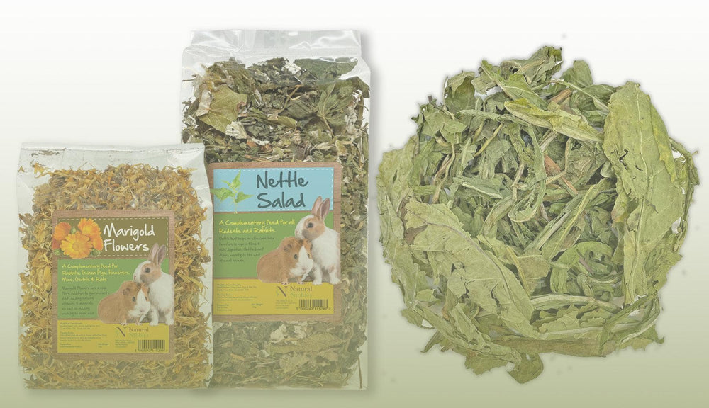 Bunny Bistro UK | The Home of Natural Forage | Rabbit & Pet Food