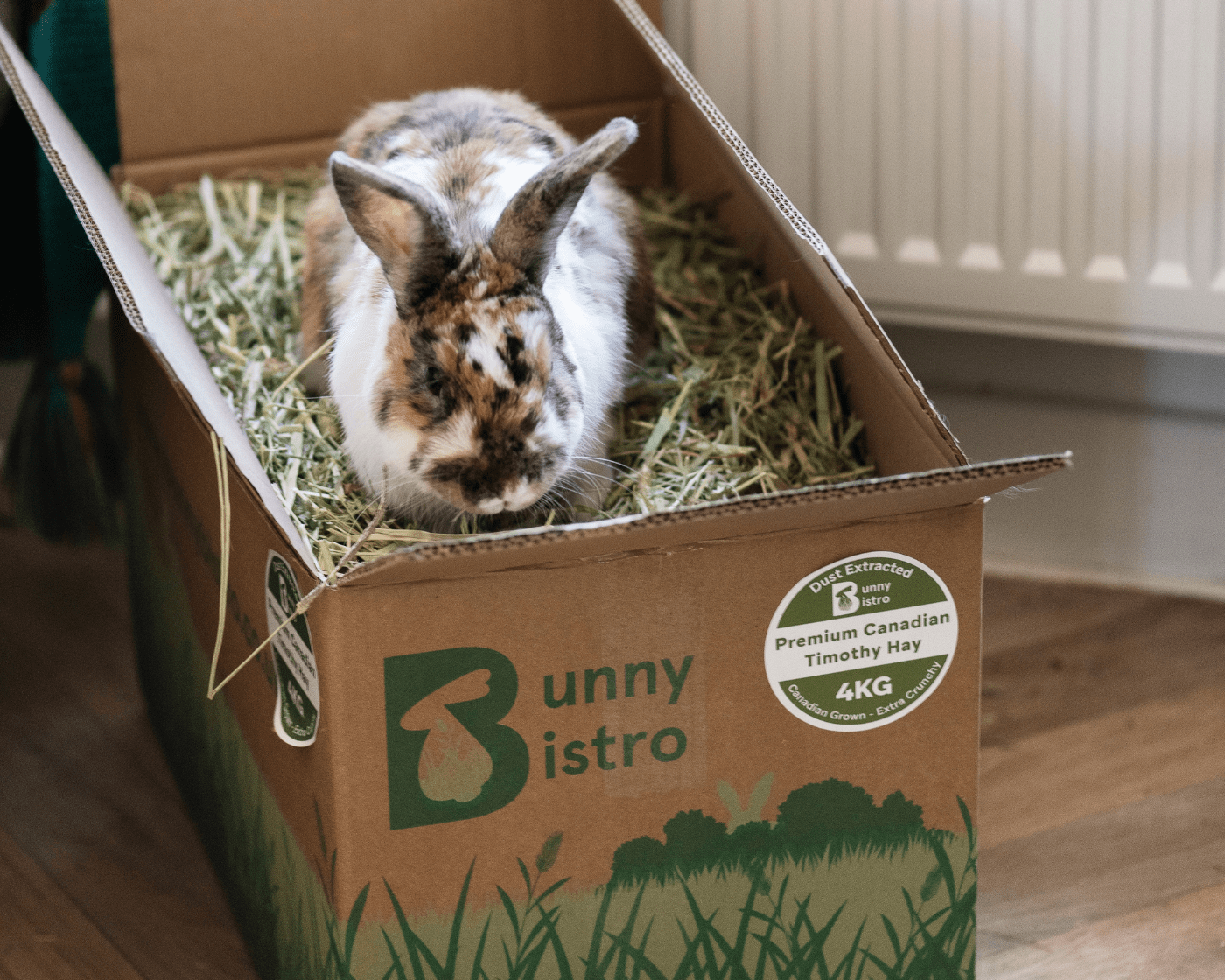 Choosing the Right Hay for Your Rabbit: Everything You Need to Know ...