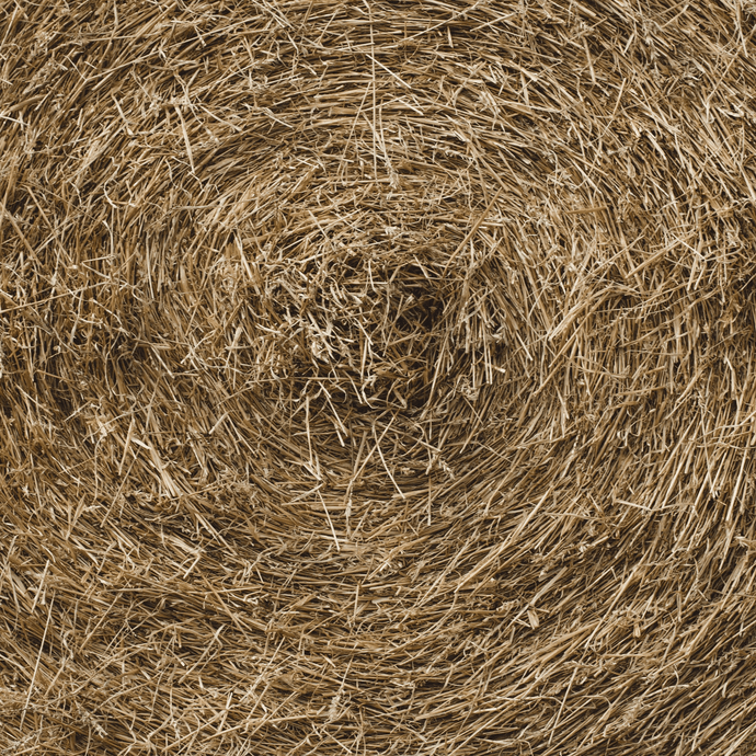 Just Hay | Natural Feeding Hay for Rabbits & Guinea Pigs – Page – Bunny ...